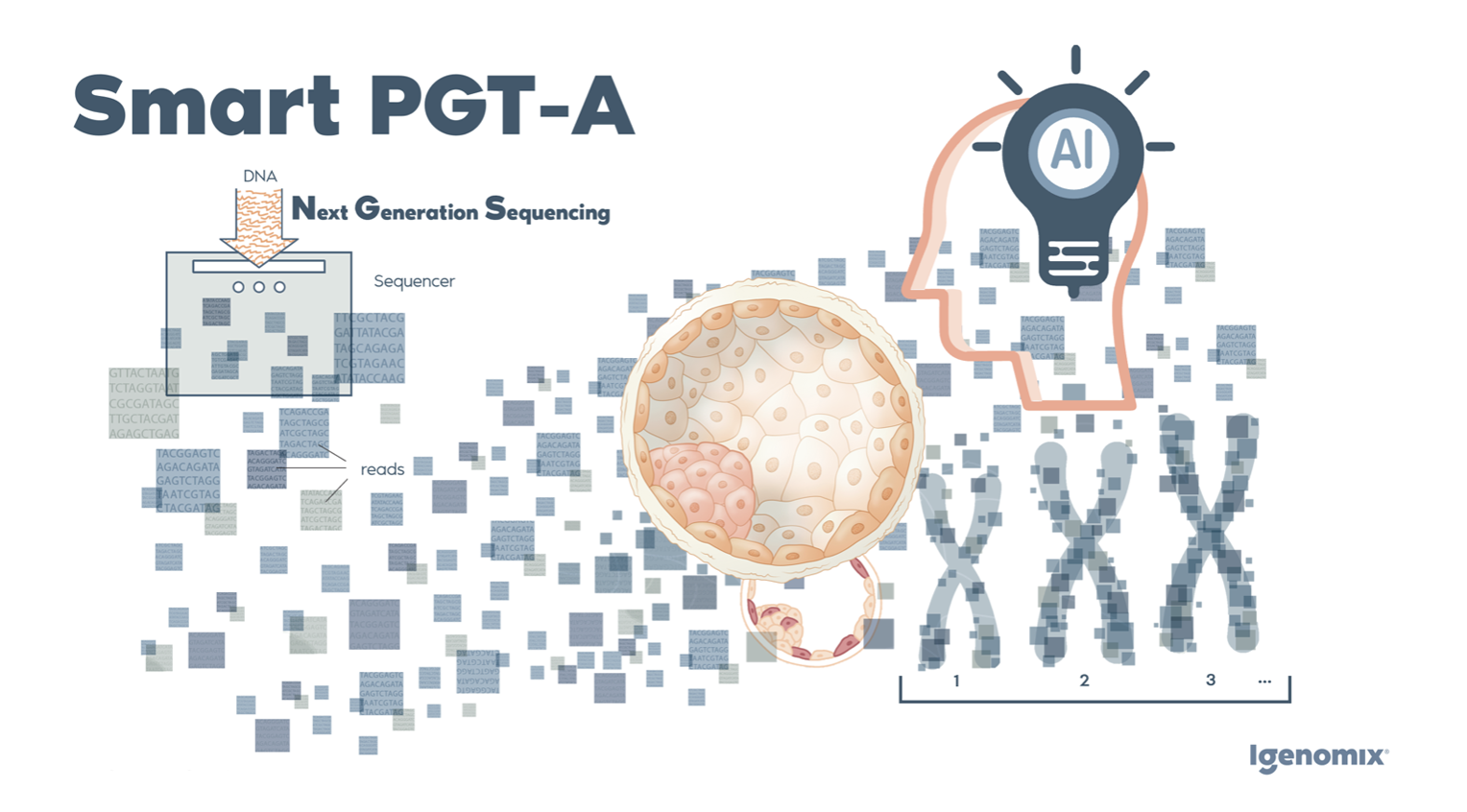 smart-pga – International