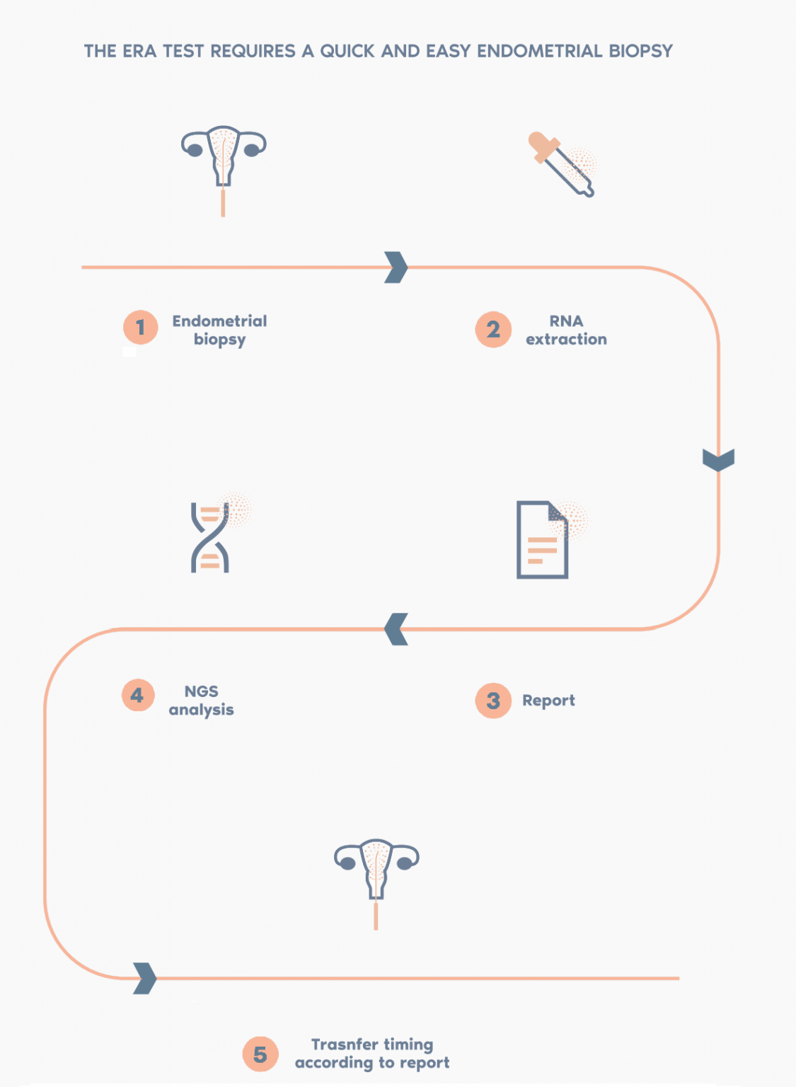 ERA – International